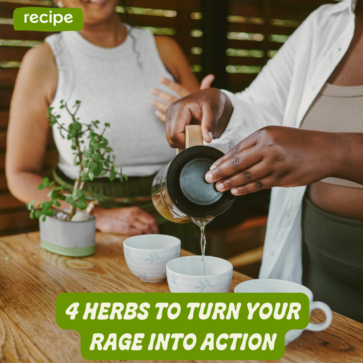 4 Herbs To Turn Your Rage Into Action – The Herbal Scoop