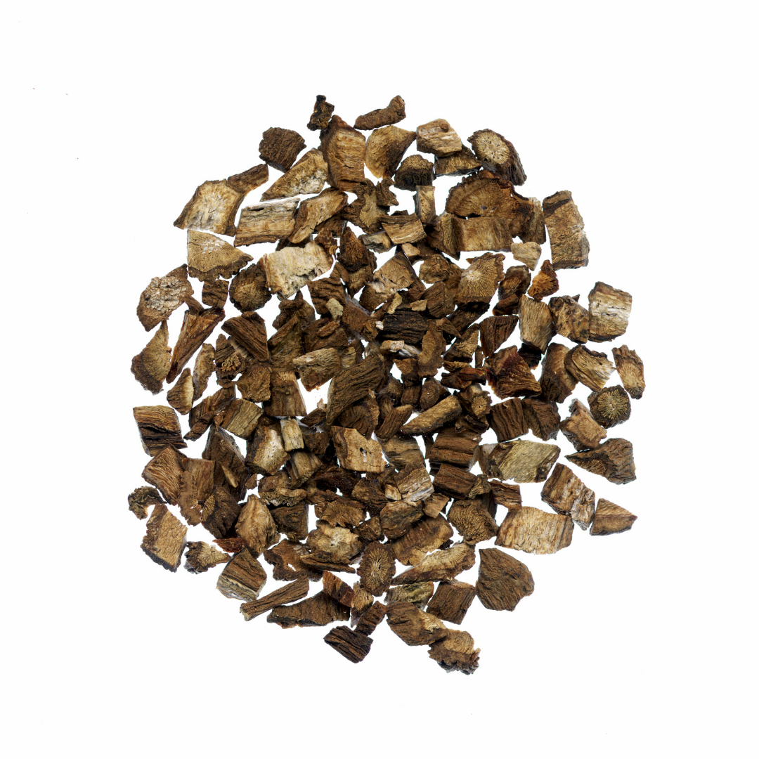Burdock Root – The Herbal Scoop