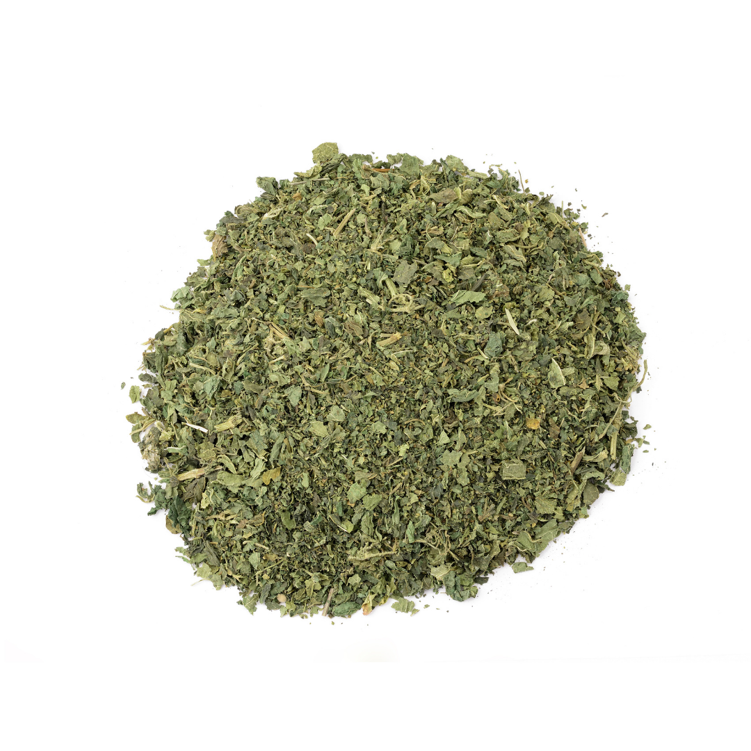 Nettle Leaf | Energy & Iron Support | Allergy Support – The Herbal Scoop